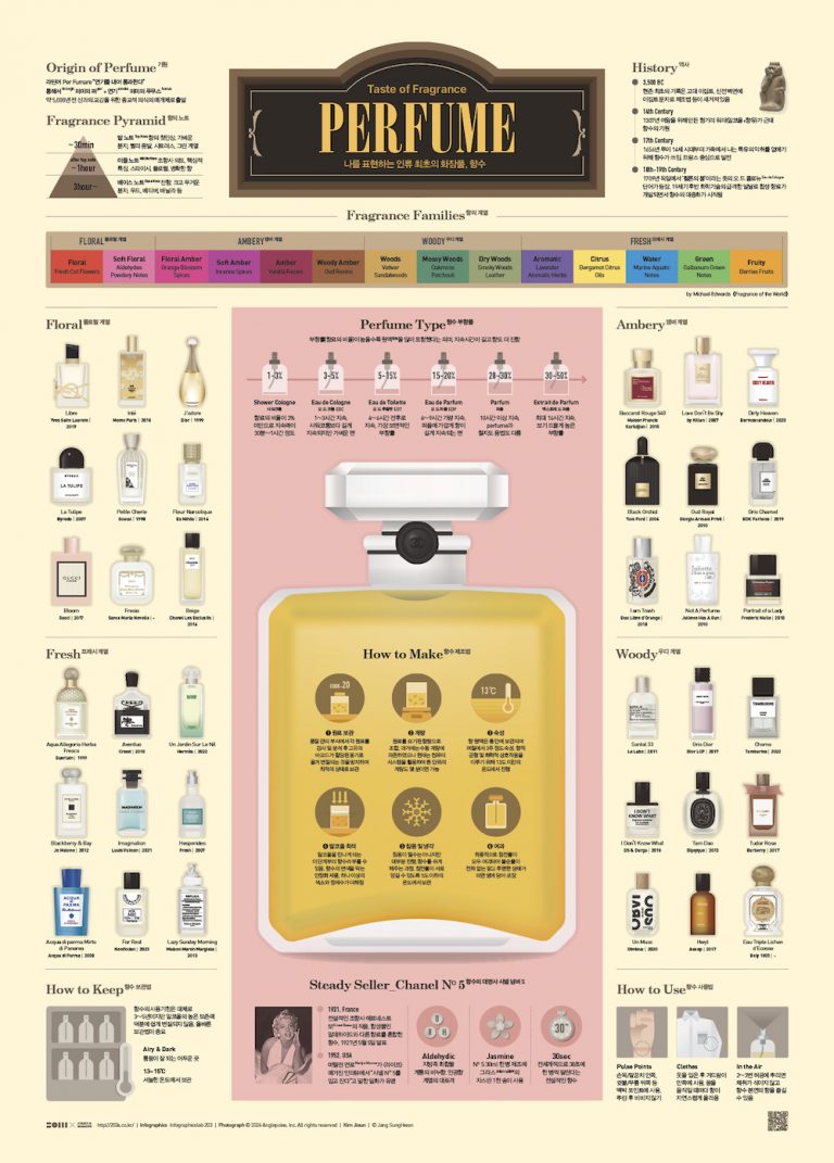 Infographic Poster | 상품 카테고리 | 스트리트 H